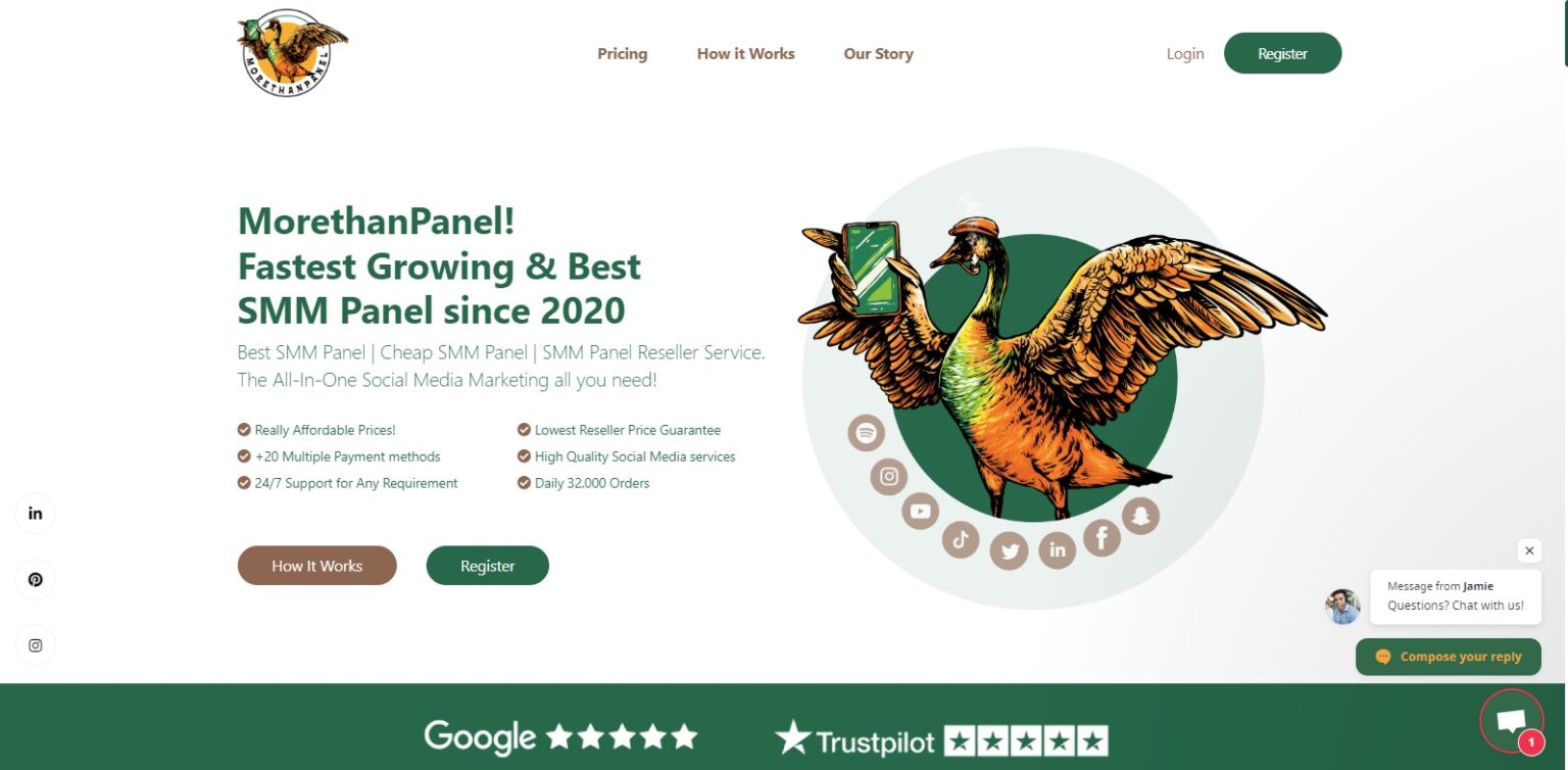 More Than Panel Review 2025 • SMM Panel Reviews